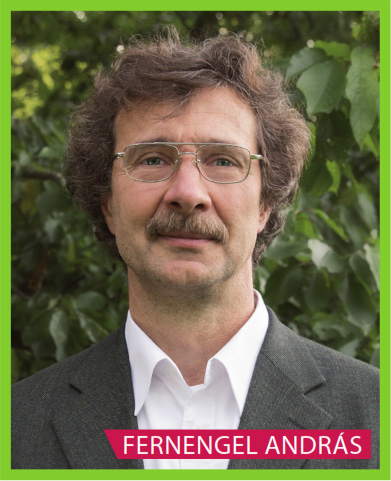 Fernengel András - Törökbálint Holnap